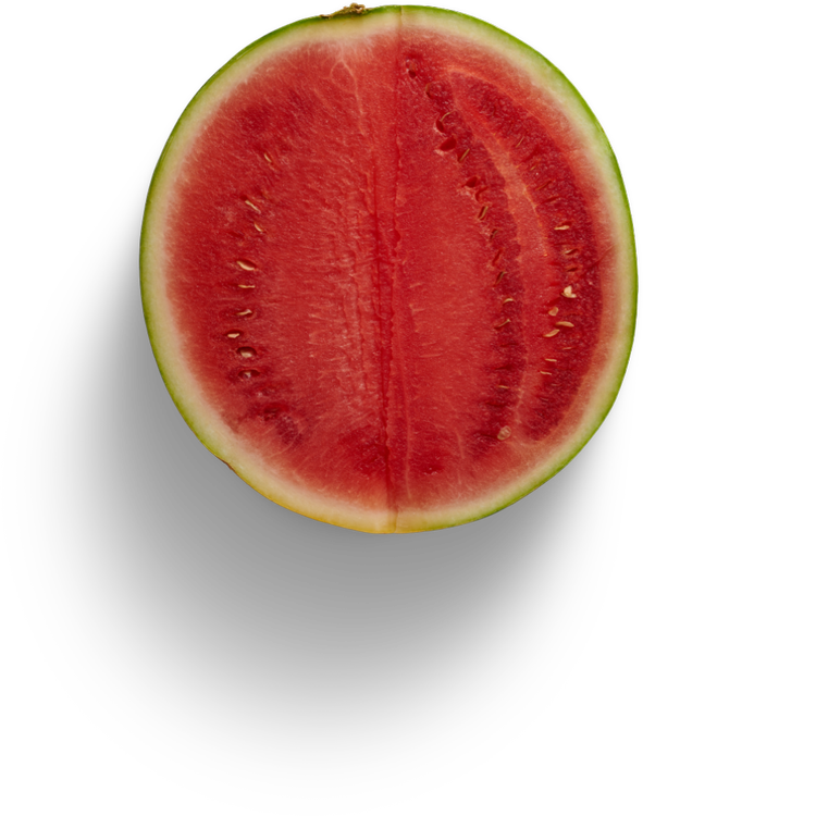 All About Watermelon | History, Fun Facts, and Growing Practices ...