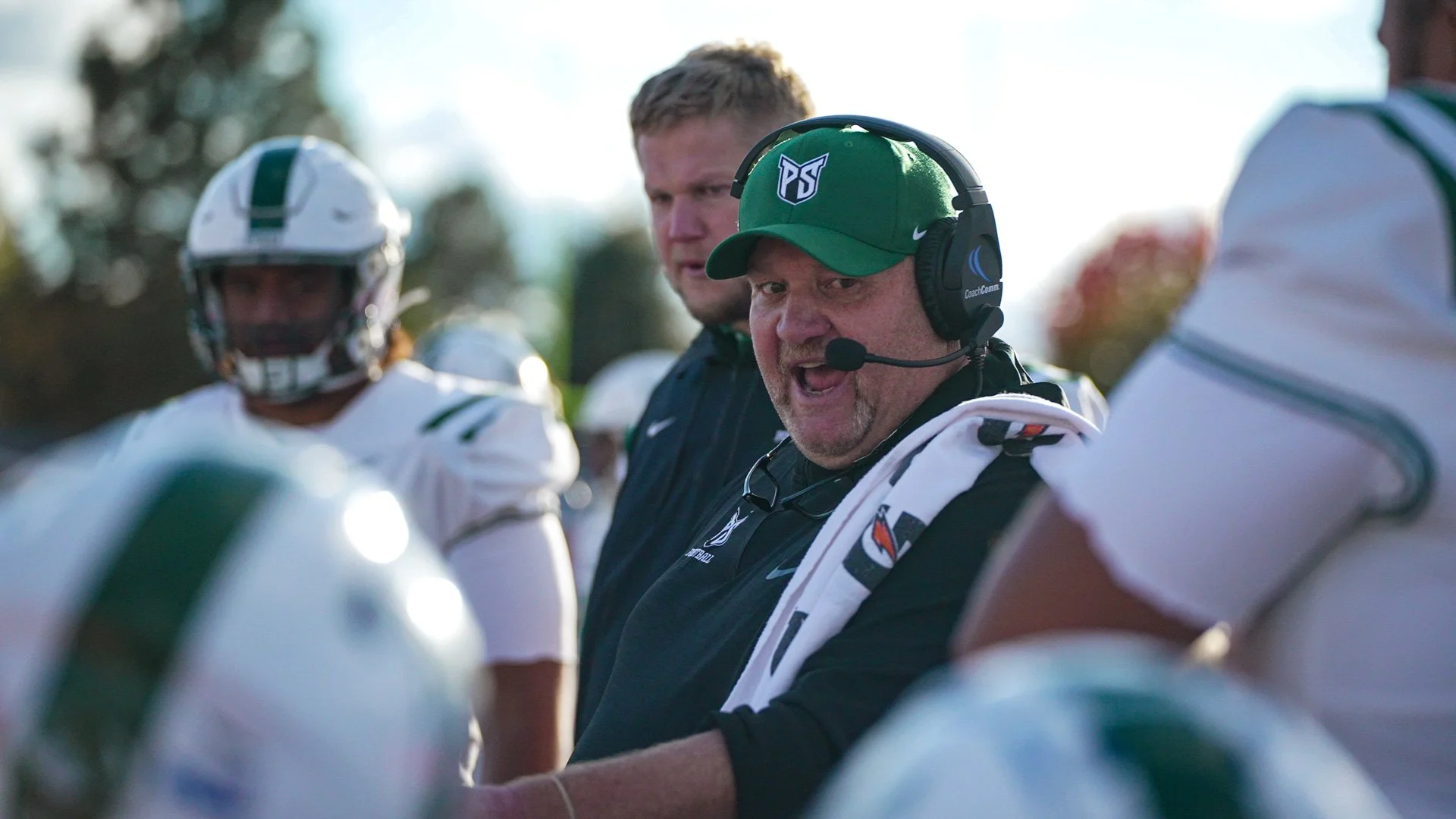 Shane McNeill Portfolio