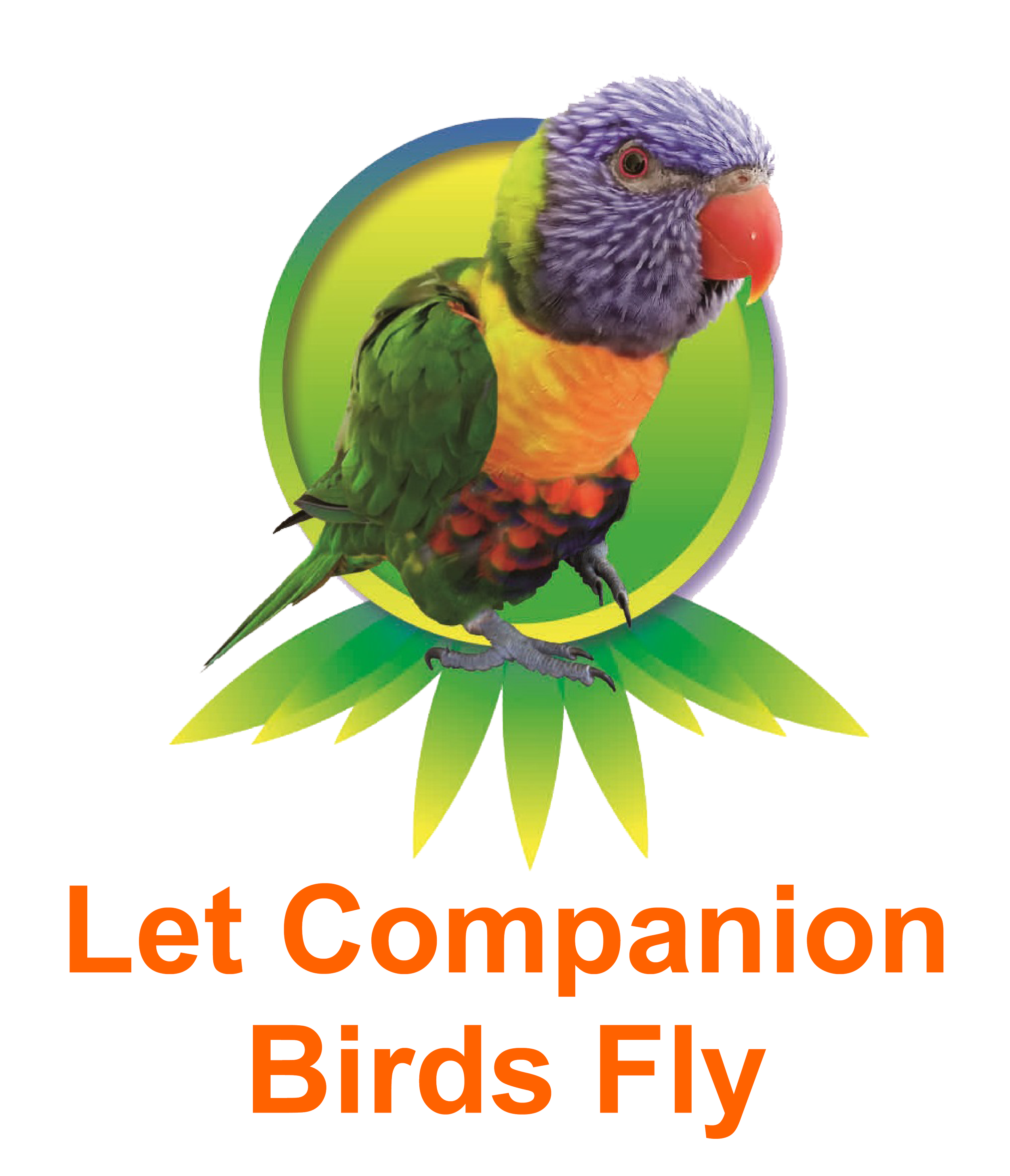 Let Companion Birds Fly-Home