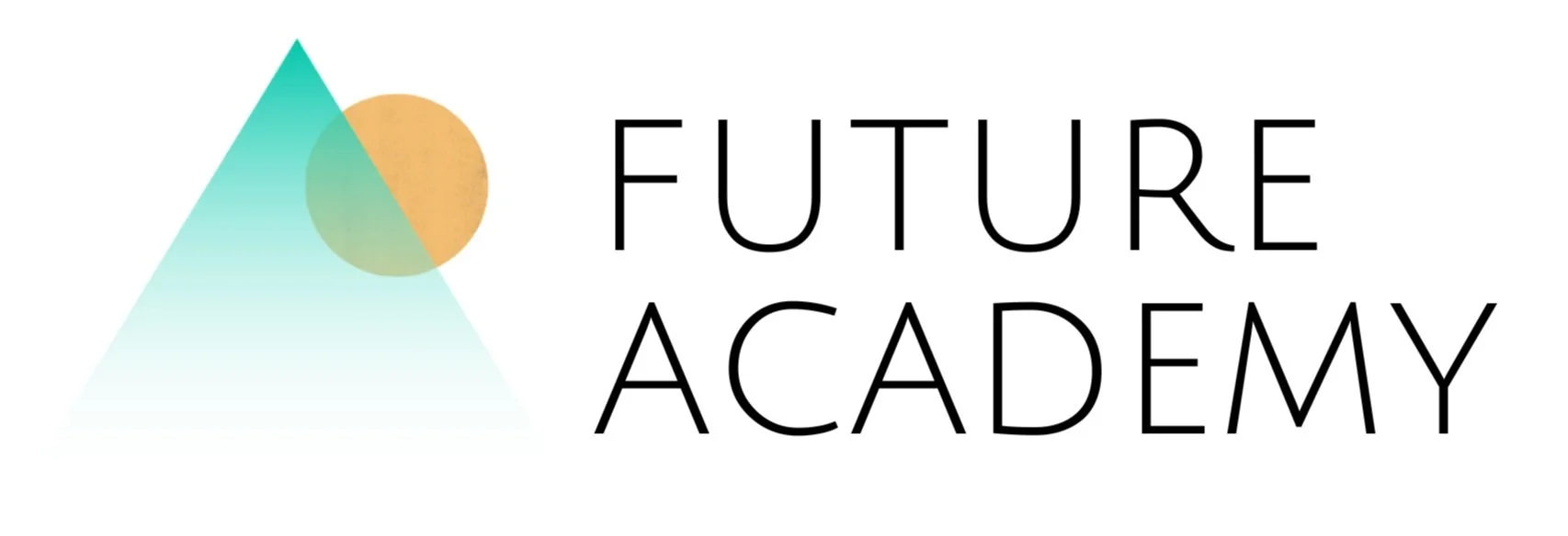 Impact Academy