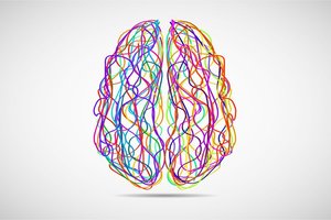 Understanding the Brain | Think Through Nutrition