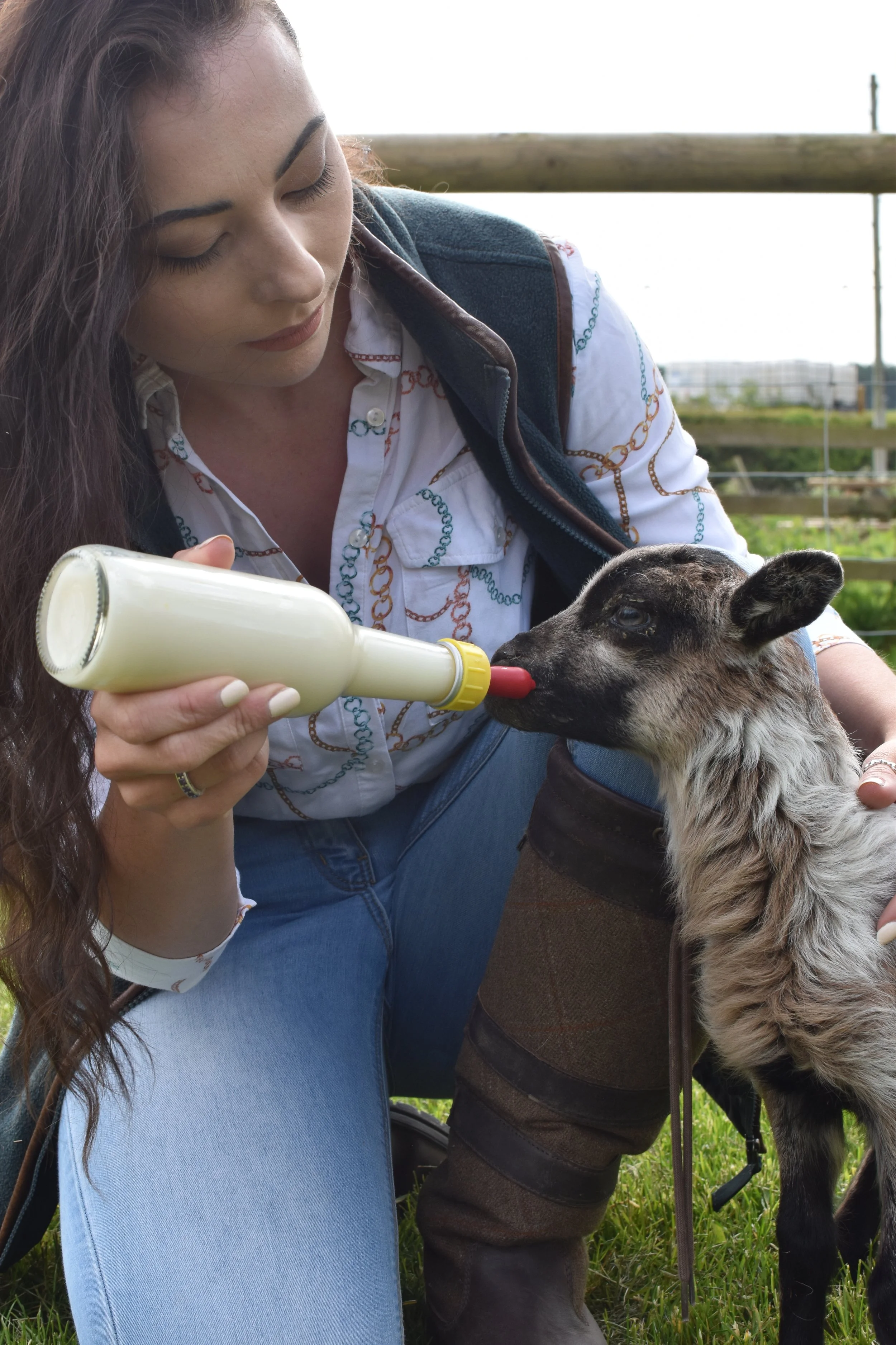 Jacksons at Jedburgh | Explore & Enjoy Nature