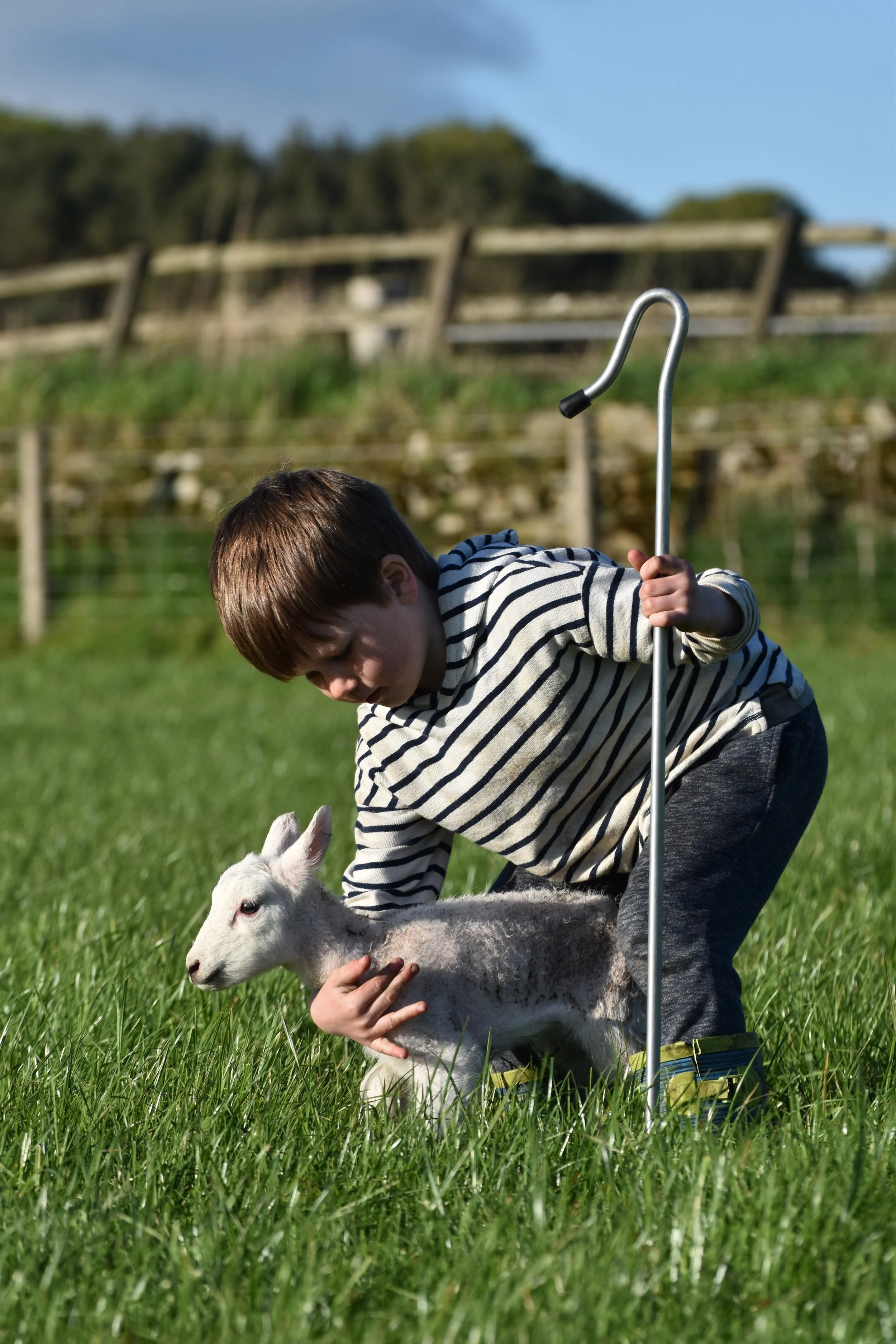 Jacksons at Jedburgh