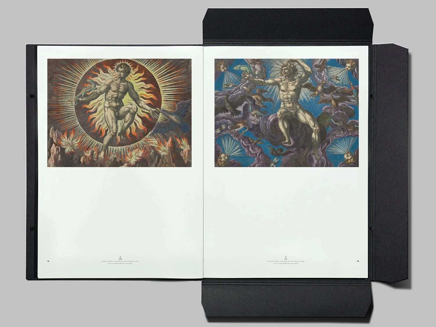 Shop — Plethora Magazine