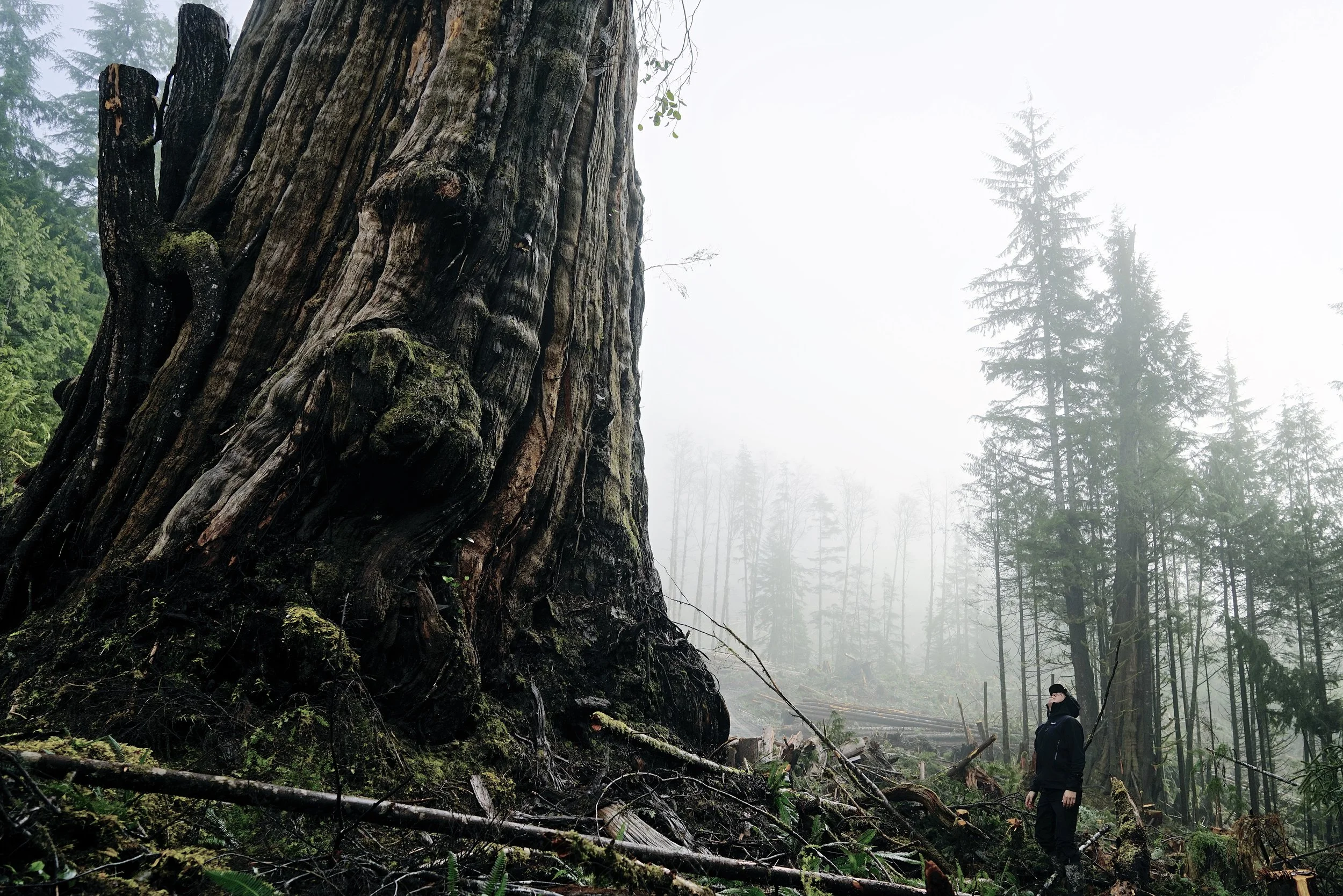 1. Climate Change & Natural Climate Solutions — First Nations Carbon ...