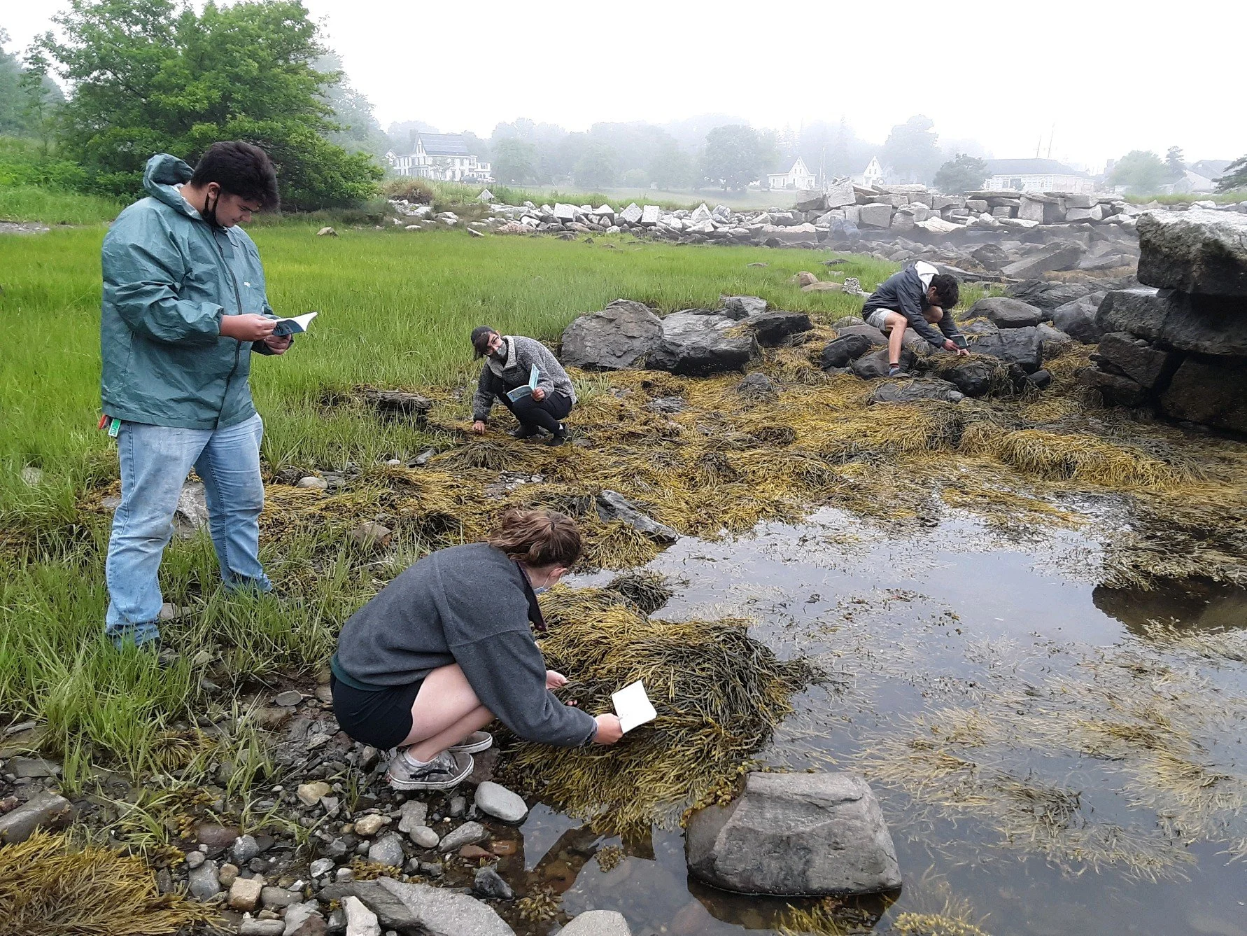 maine environmental education association