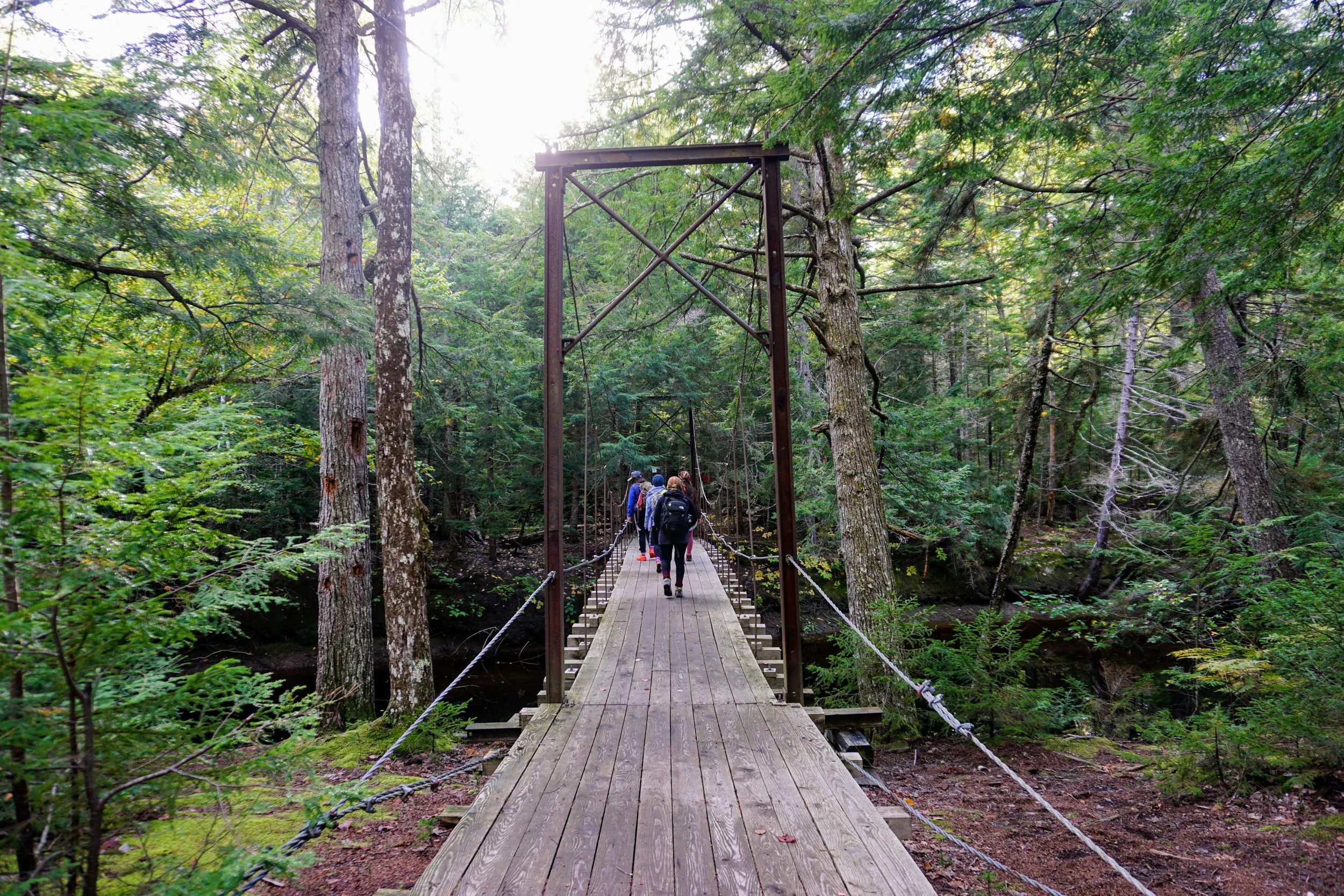 maine environmental education association