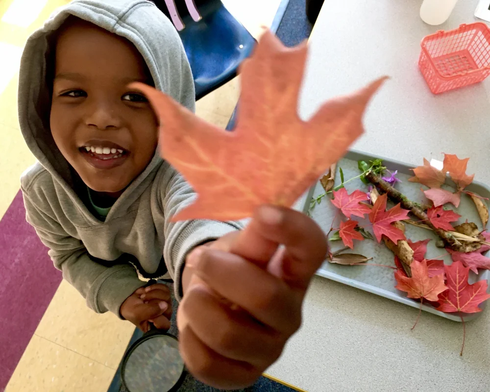 Mini-Grants for Outdoor Learning — maine environmental education ...