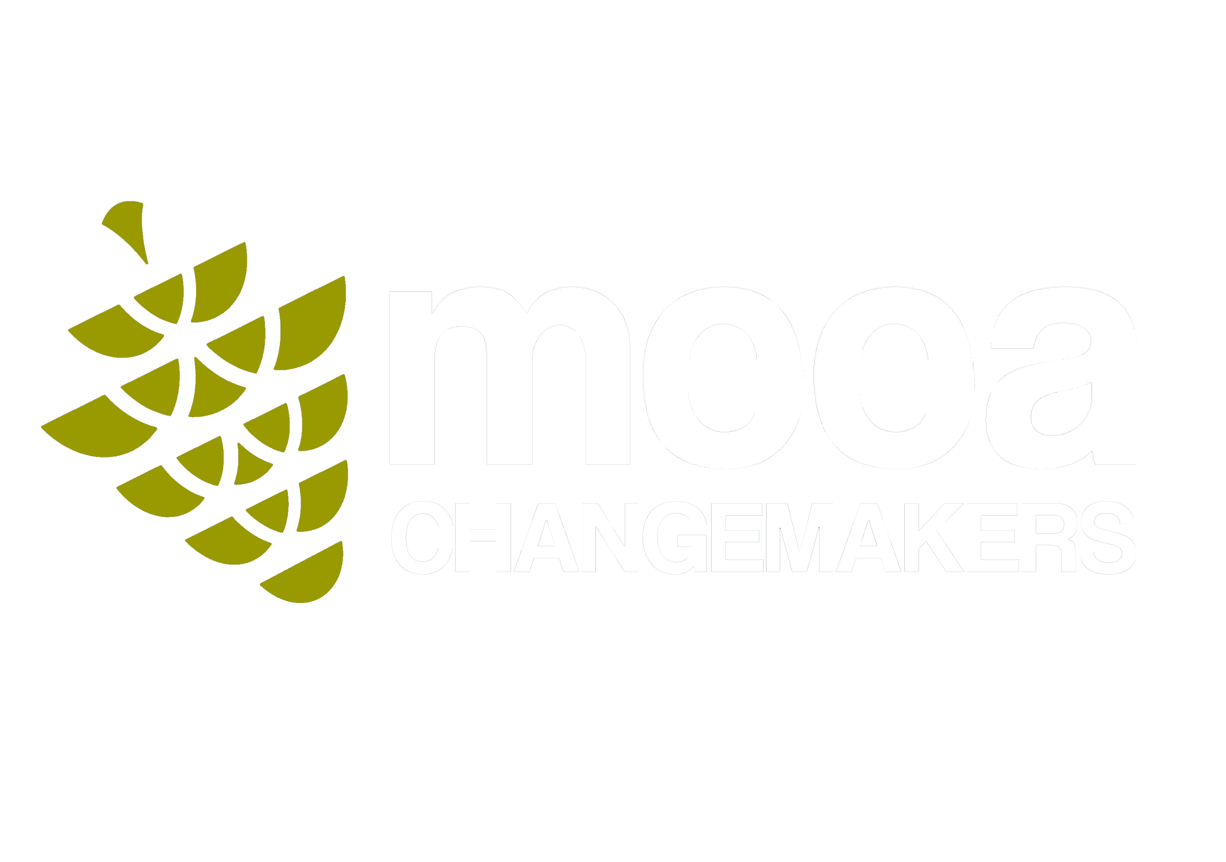 Fellowships and Organizers — maine environmental education association