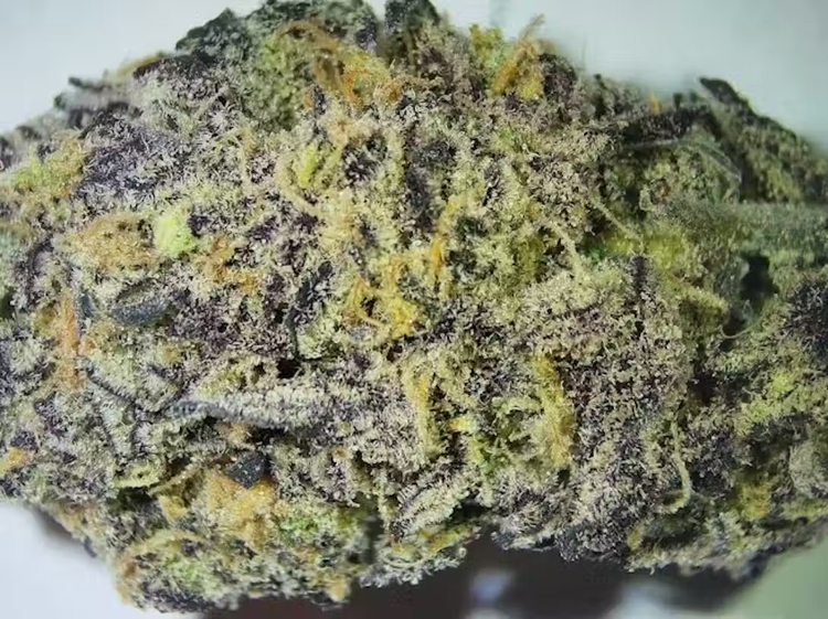 Wild Legacy Cannabis