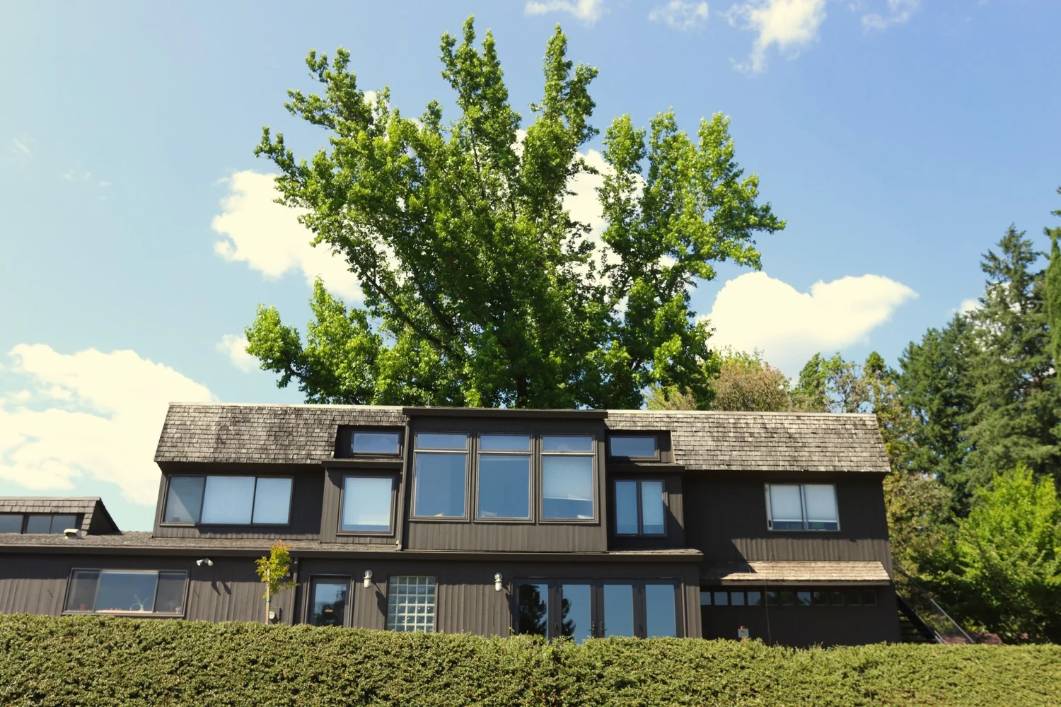The House — Sosta House