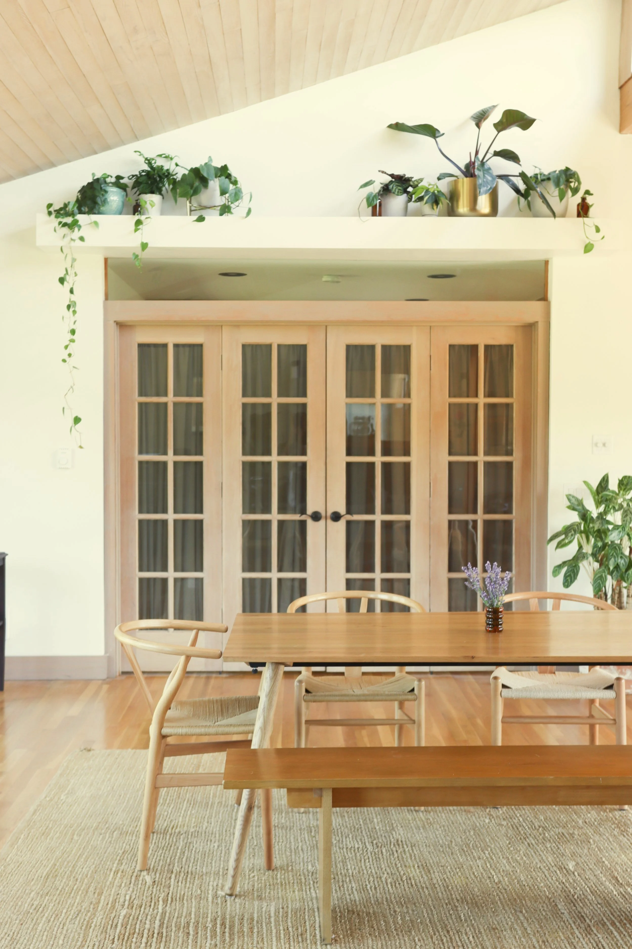 The House — Sosta House