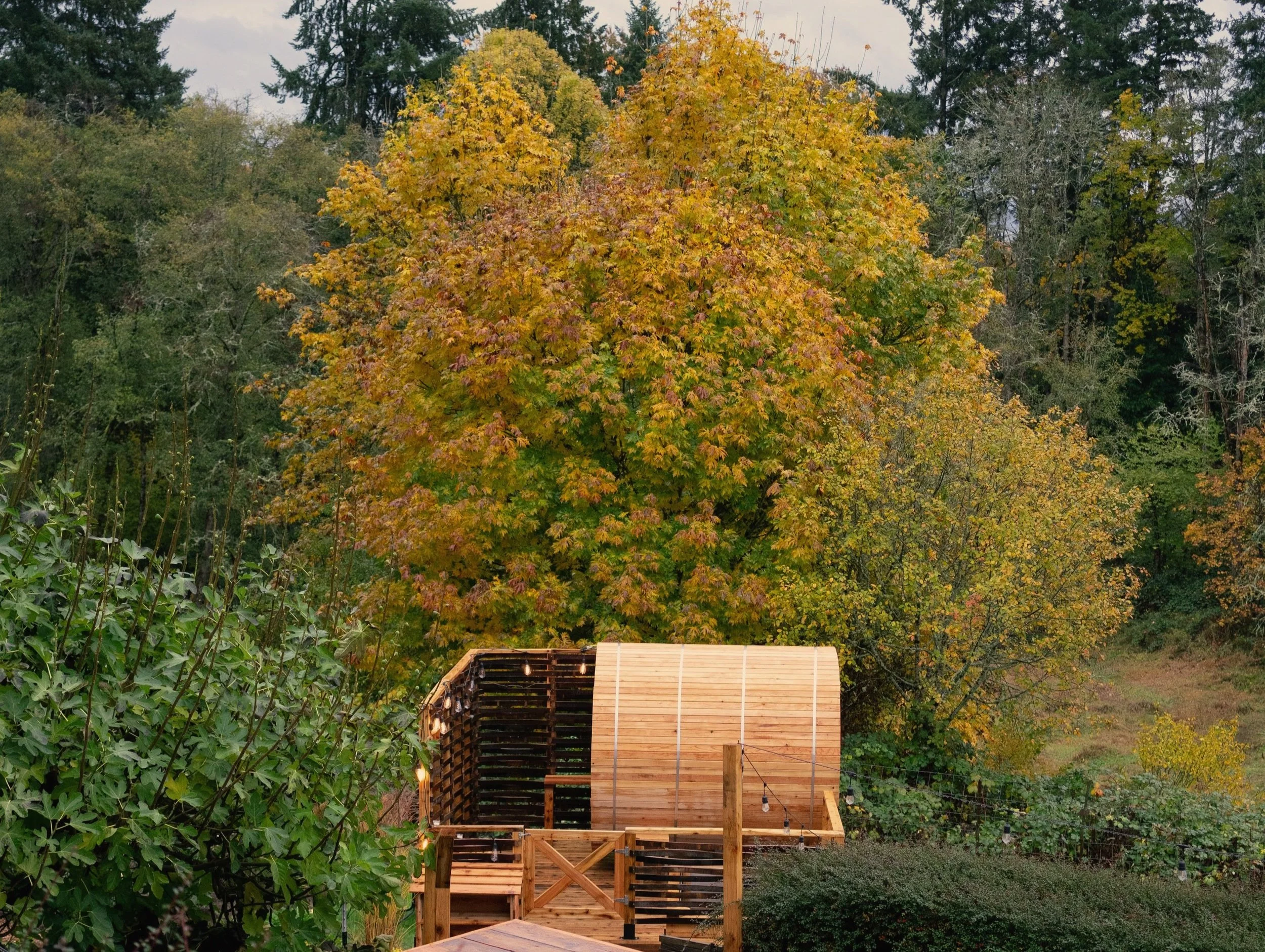 The House — Sosta House