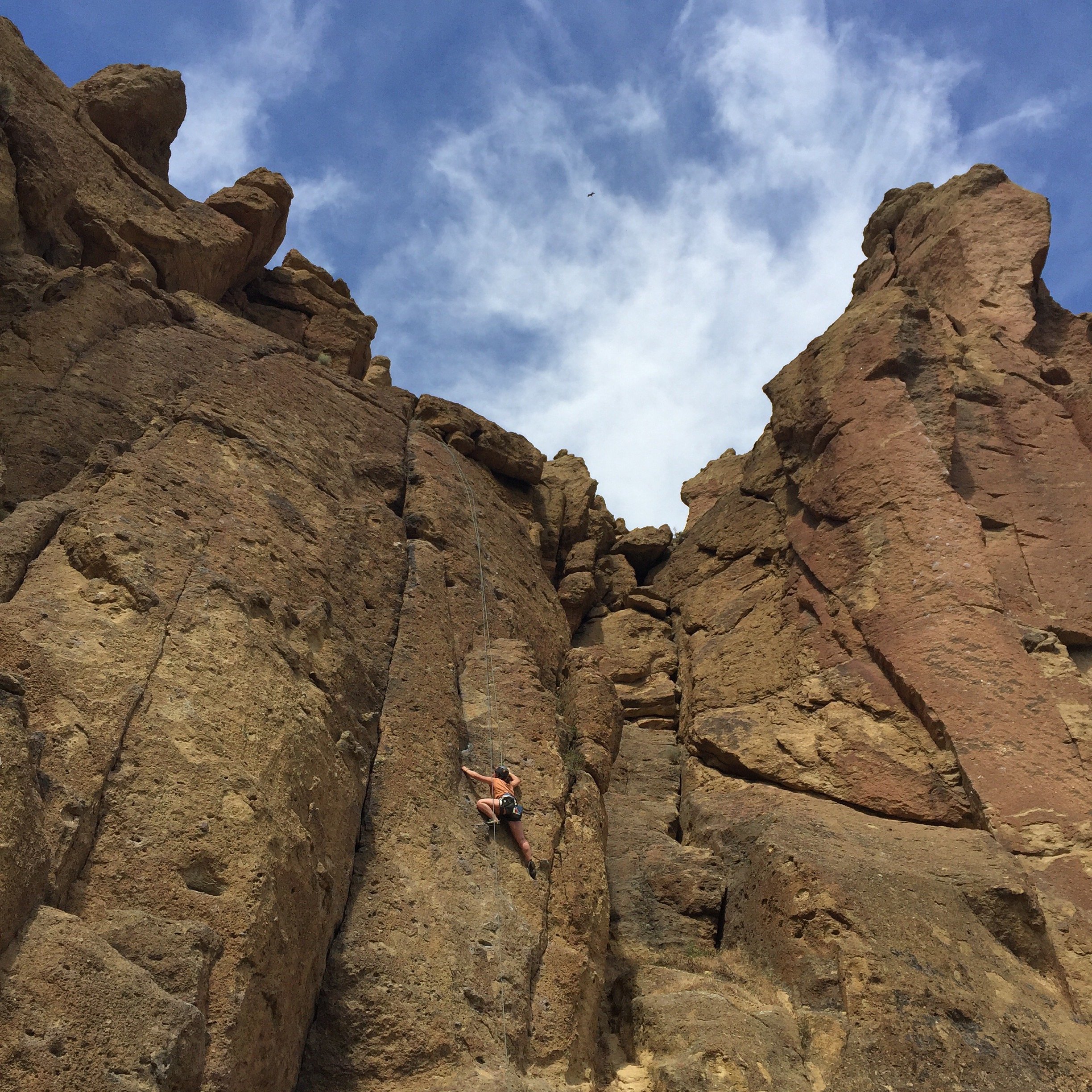 Experience — Sosta House