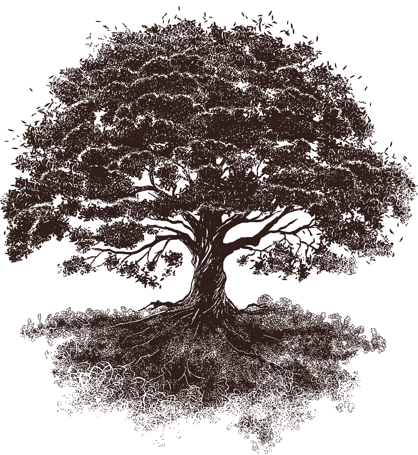 Wolf Tree Programs | Wilderness Skills School in Montague, MA