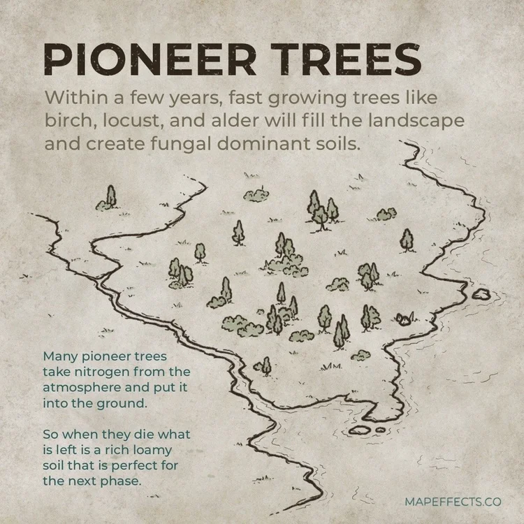 Forests - Where to Place them on Your Fantasy Maps — Map Effects