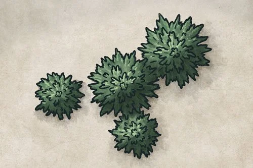 How to Draw Pine Trees - Top-Down Perspective — Map Effects