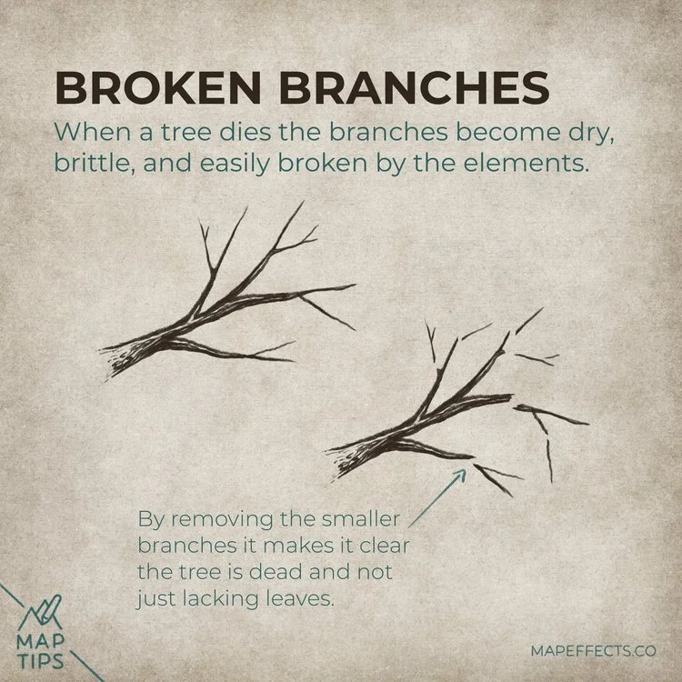 How to Draw Better Dead Trees on Fantasy Maps — Map Effects