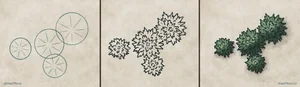 How to Draw Pine Trees - Top-Down Perspective — Map Effects
