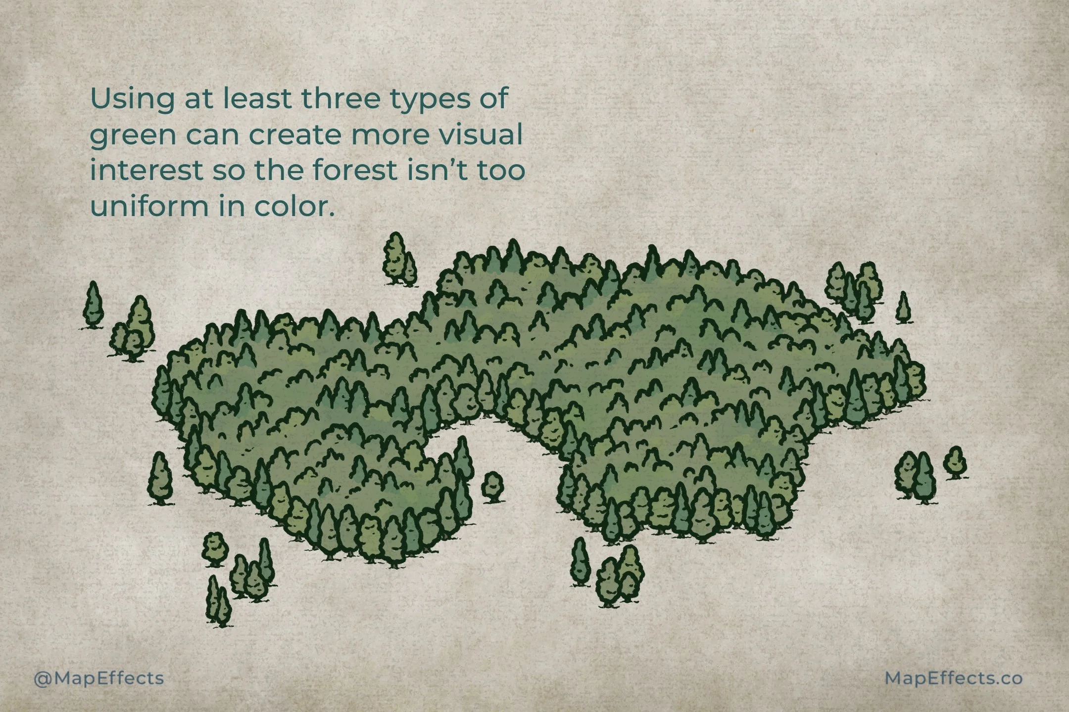 How to Draw Old-Growth Forests on Fantasy Maps — Map Effects