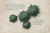 How to Draw Pine Trees - Top-Down Perspective — Map Effects