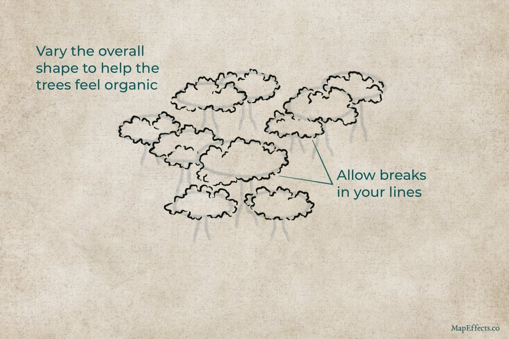 How to Draw Swamps on Fantasy Maps - Step by Step Tutorial — Map Effects