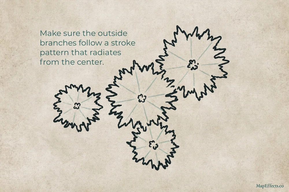 How to Draw Pine Trees - Top-Down Perspective — Map Effects