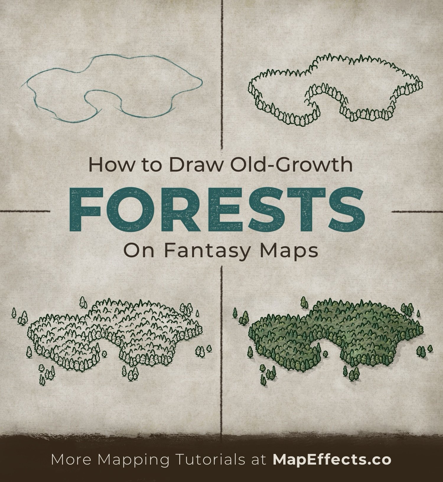 How to Draw Old-Growth Forests on Fantasy Maps — Map Effects