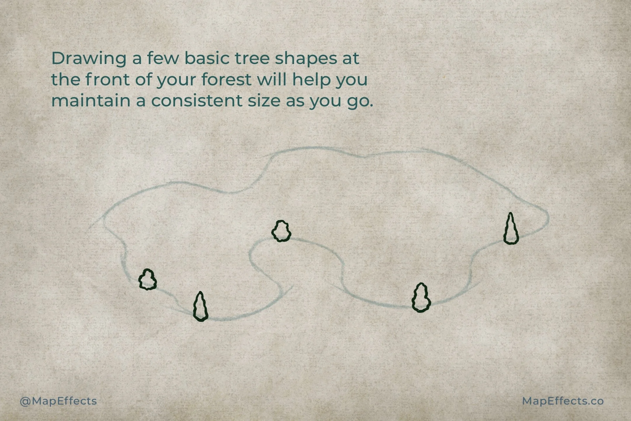 How to Draw Old-Growth Forests on Fantasy Maps — Map Effects