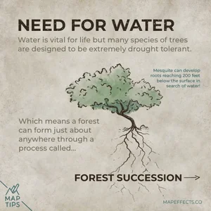 Forests - Where to Place them on Your Fantasy Maps — Map Effects