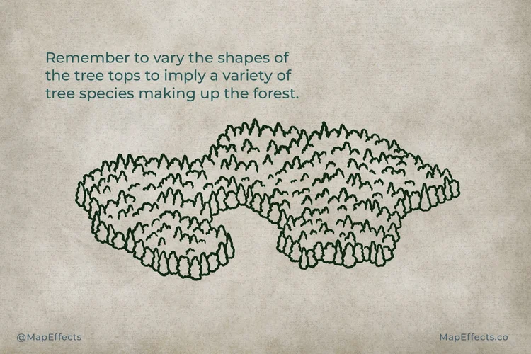 How to Draw Old-Growth Forests on Fantasy Maps — Map Effects