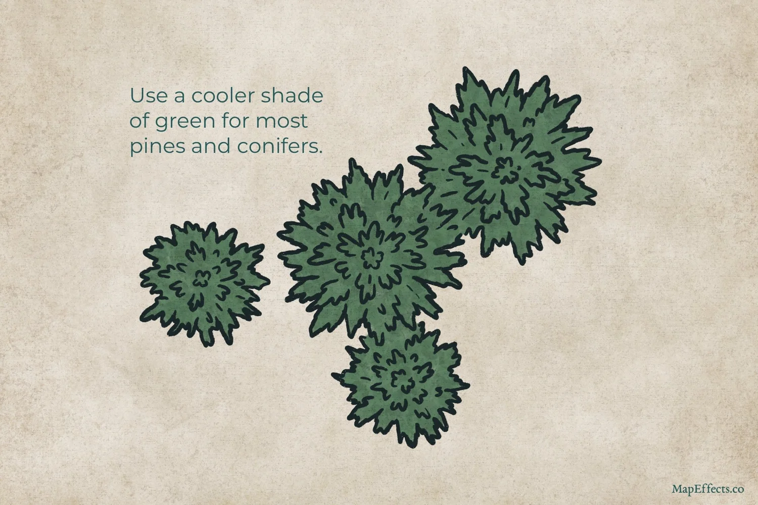 How to Draw Pine Trees - Top-Down Perspective — Map Effects