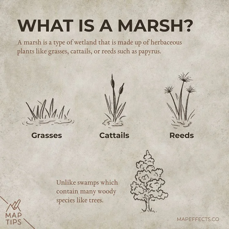Drawing Marshes on Your Fantasy Maps - Where Do They Form? — Map Effects