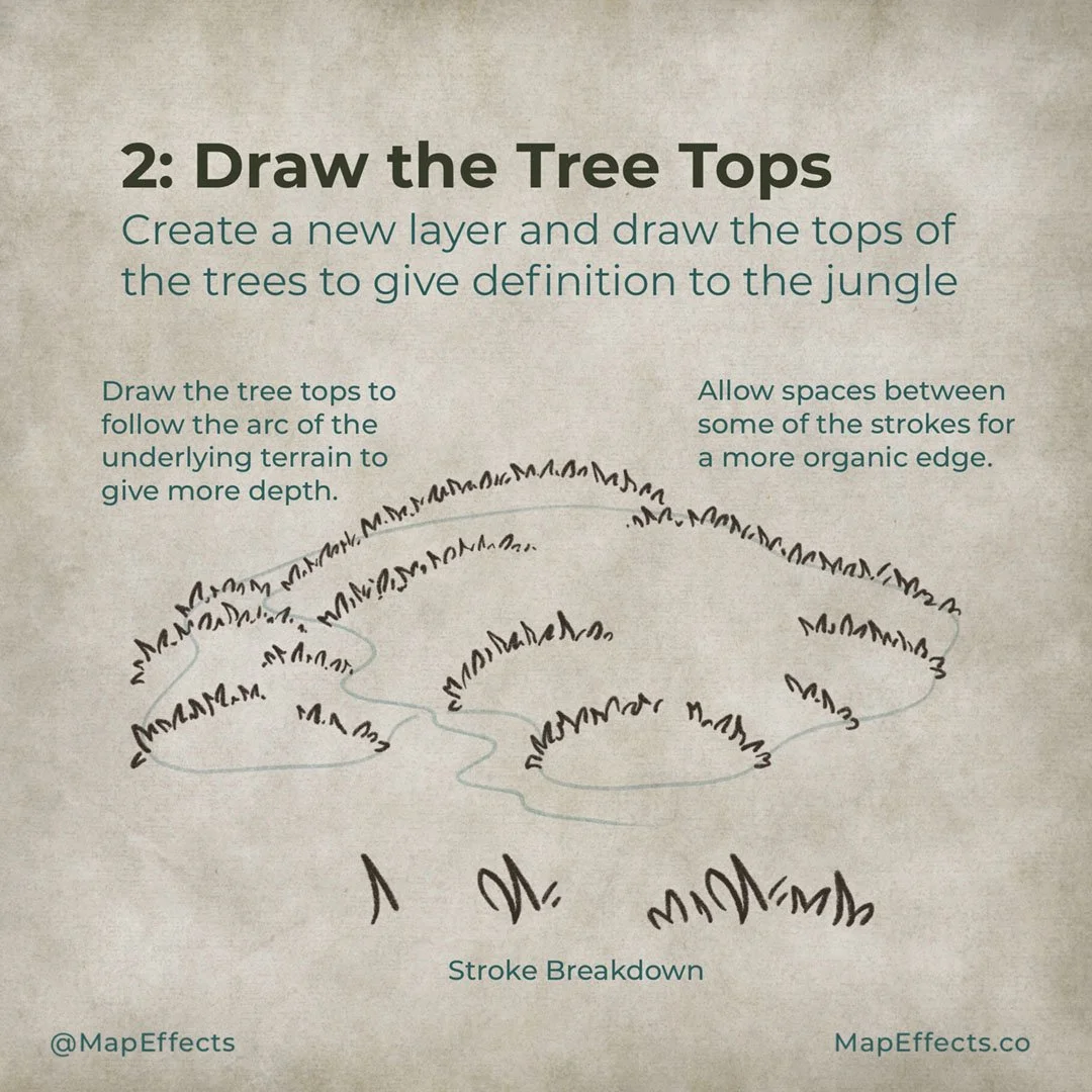 How to Draw Jungles on Your Fantasy Maps — Map Effects