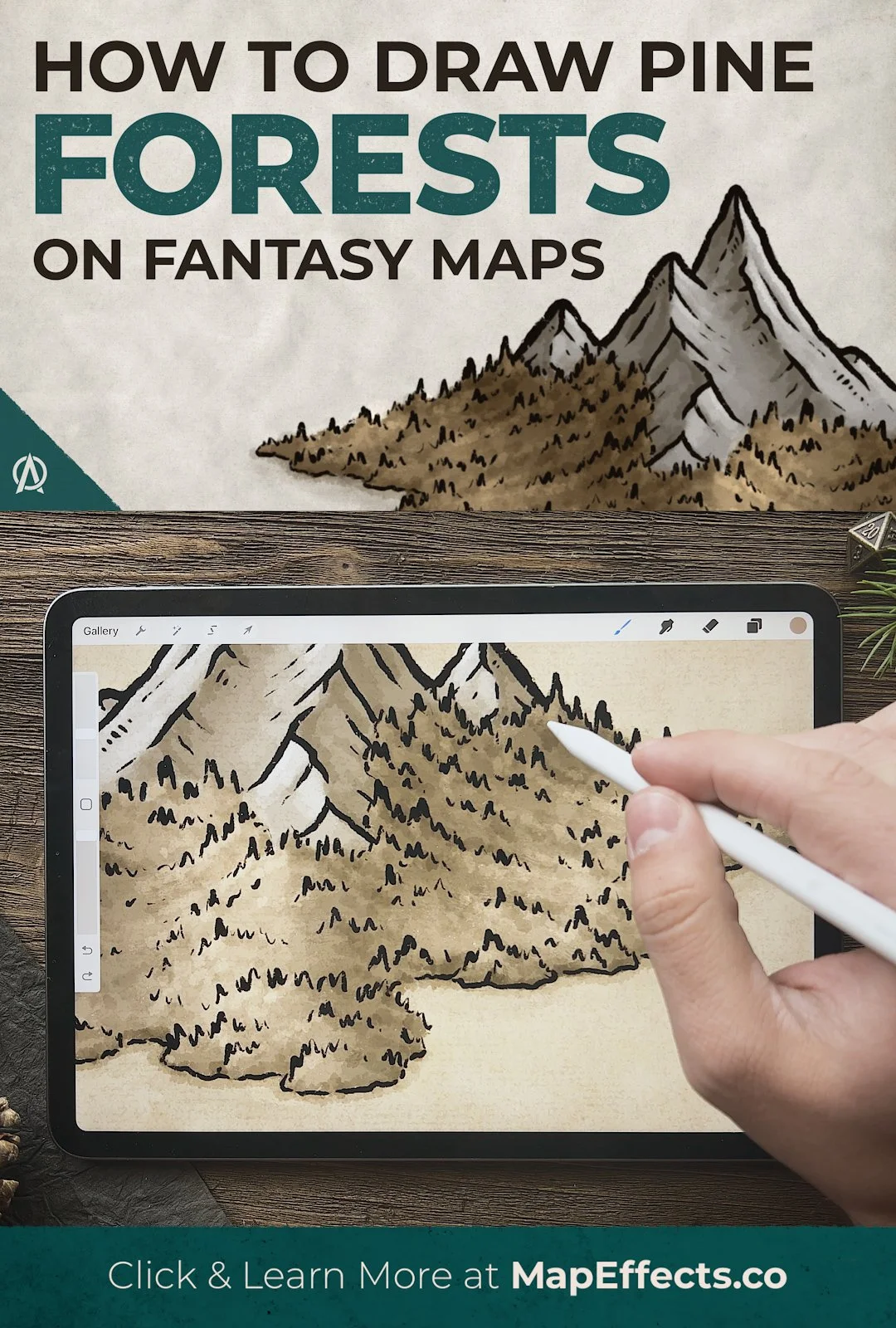 Pine Forest Drawings