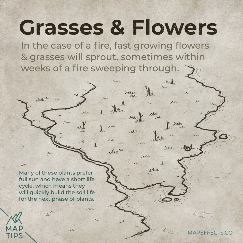 Forests - Where to Place them on Your Fantasy Maps — Map Effects