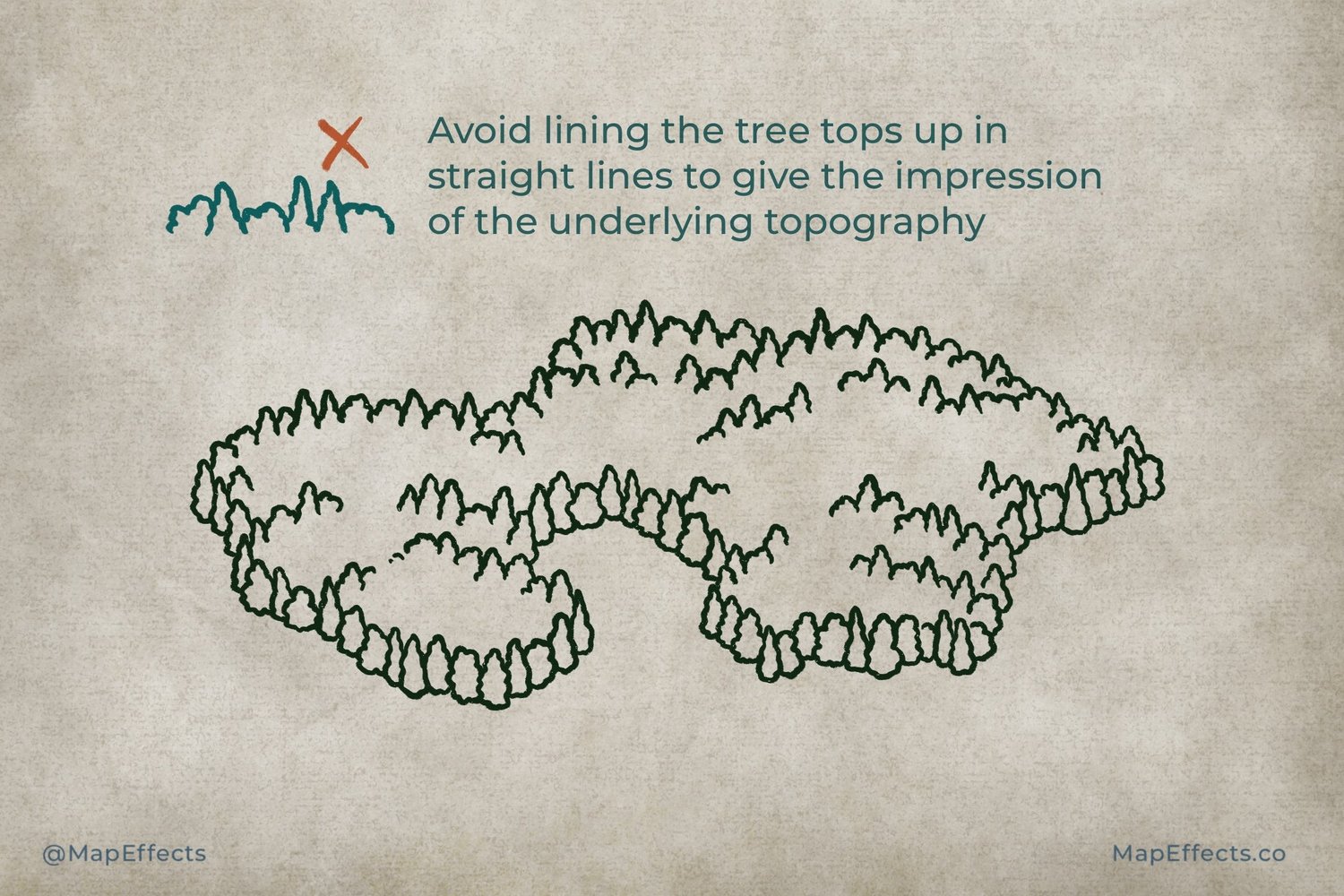How to Draw Old-Growth Forests on Fantasy Maps — Map Effects