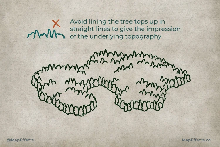 How to Draw Old-Growth Forests on Fantasy Maps — Map Effects