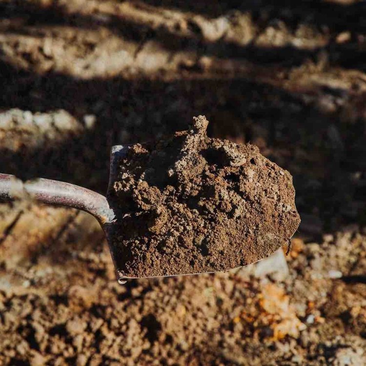 Benefits of Screened vs Unscreened Fill Dirt — All Seasons Supply