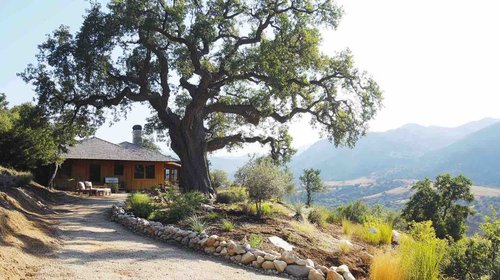 Comprehensive Guide for Rip Rap in Landscaping — All Seasons Supply