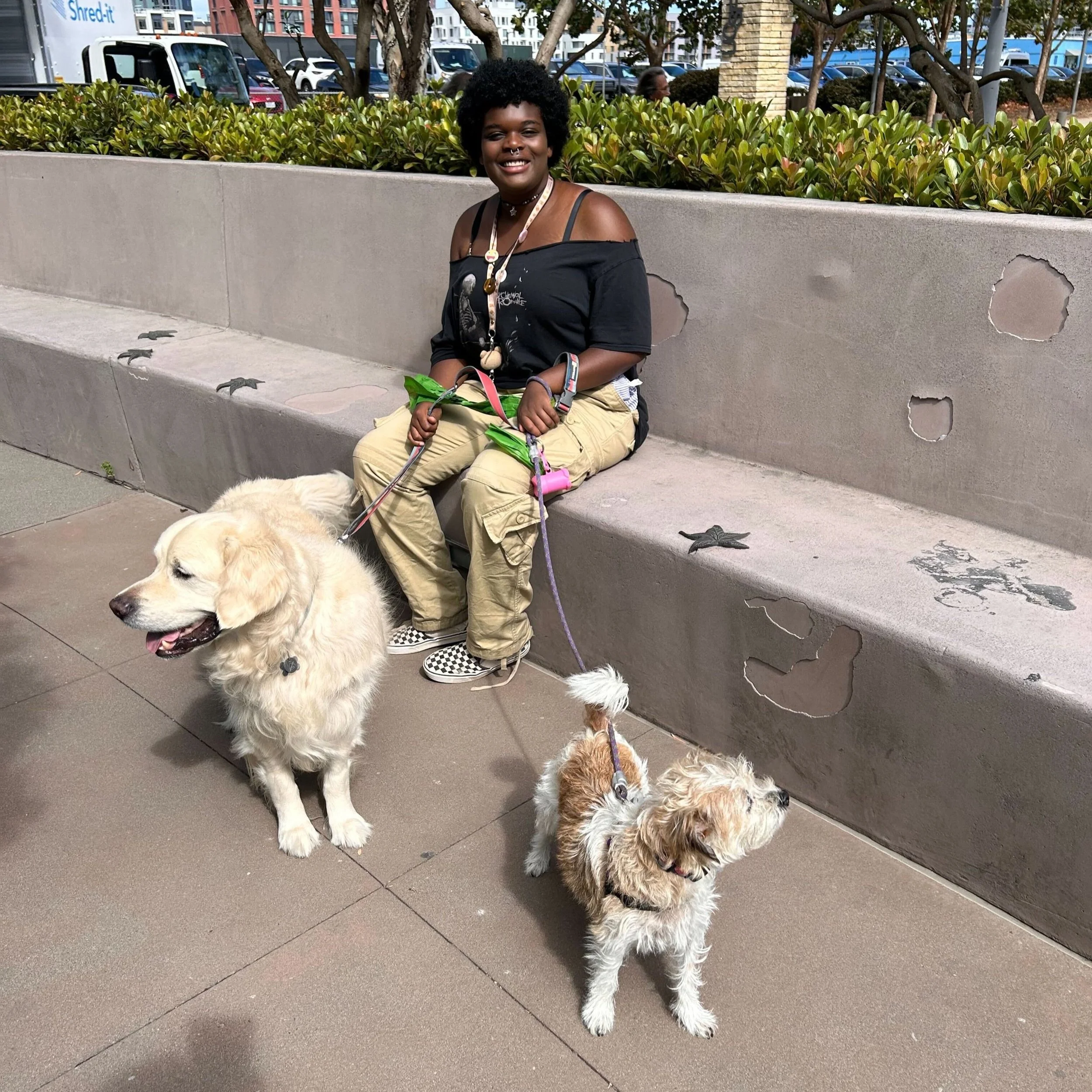 Meet Our Professional San Francisco Dog Walkers — Blue Dog SF