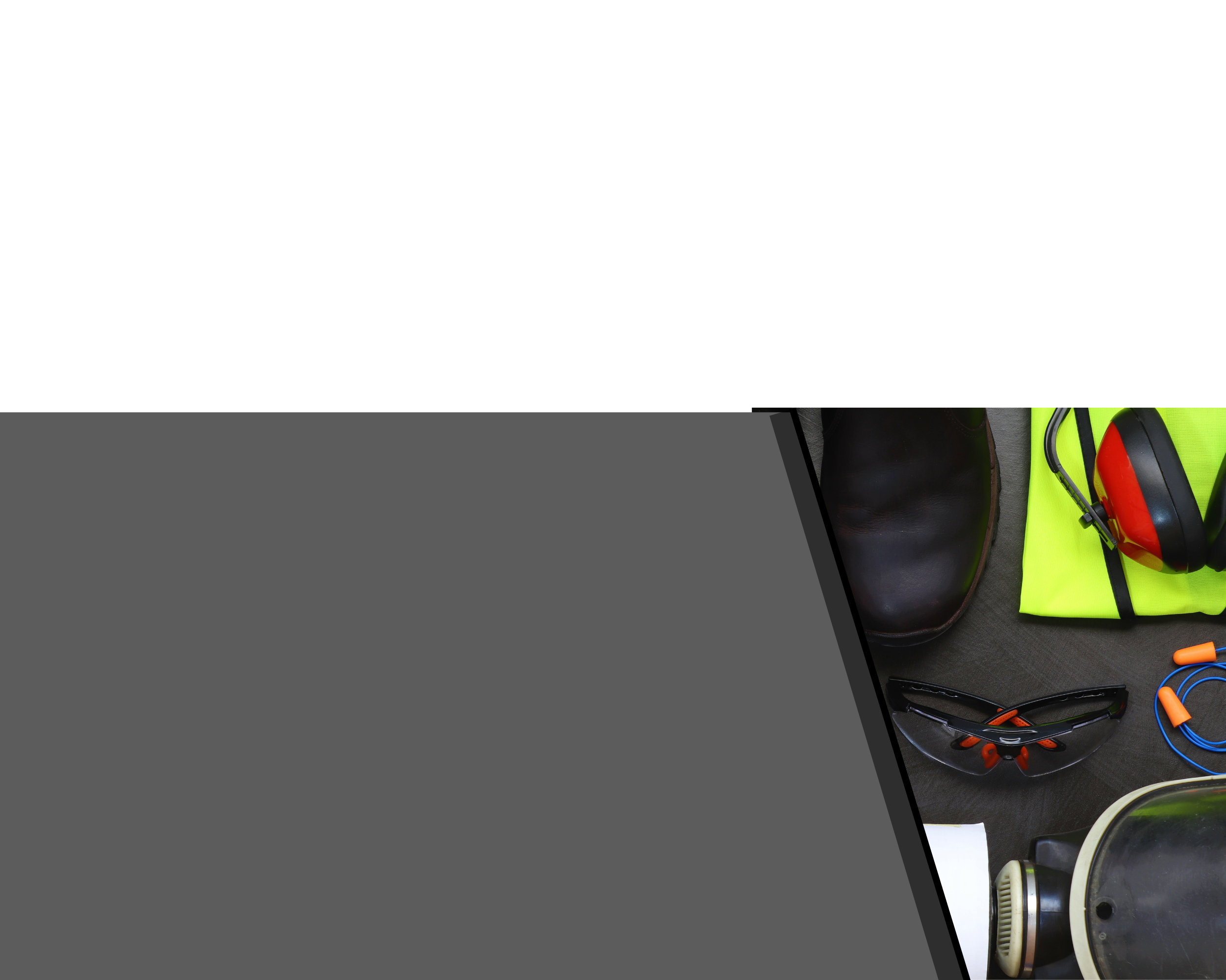 Government Services — Paragon Force, Inc. | Engaged Solutions