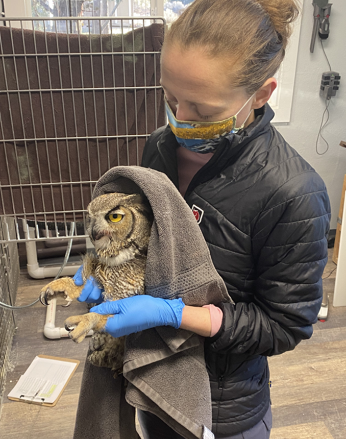 About Us — National Association of Veterinary Scientists