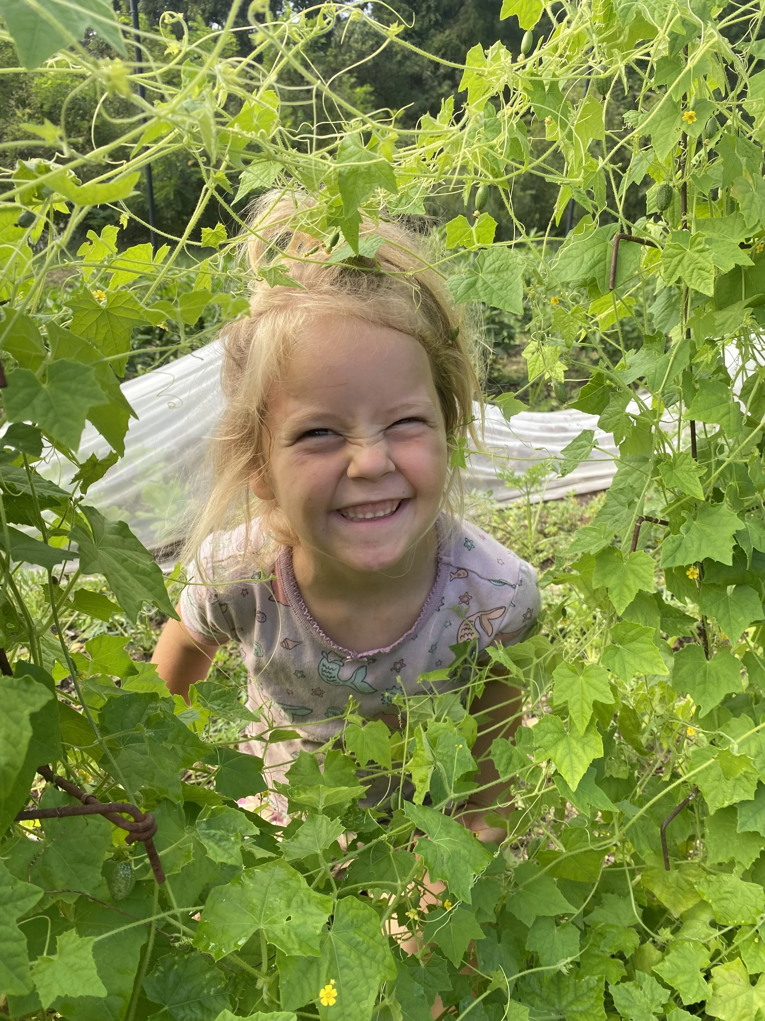 About Us — Morningside Farm