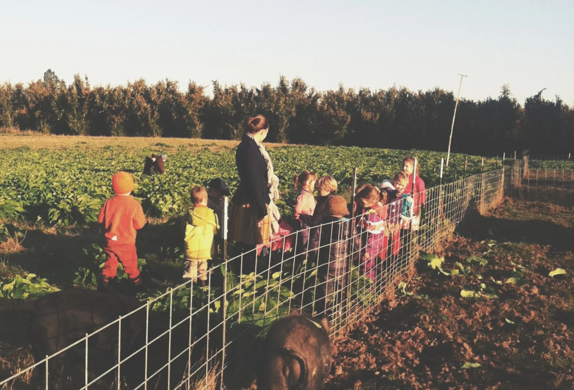 Two Rivers Farm School Curriculum and Enrollment