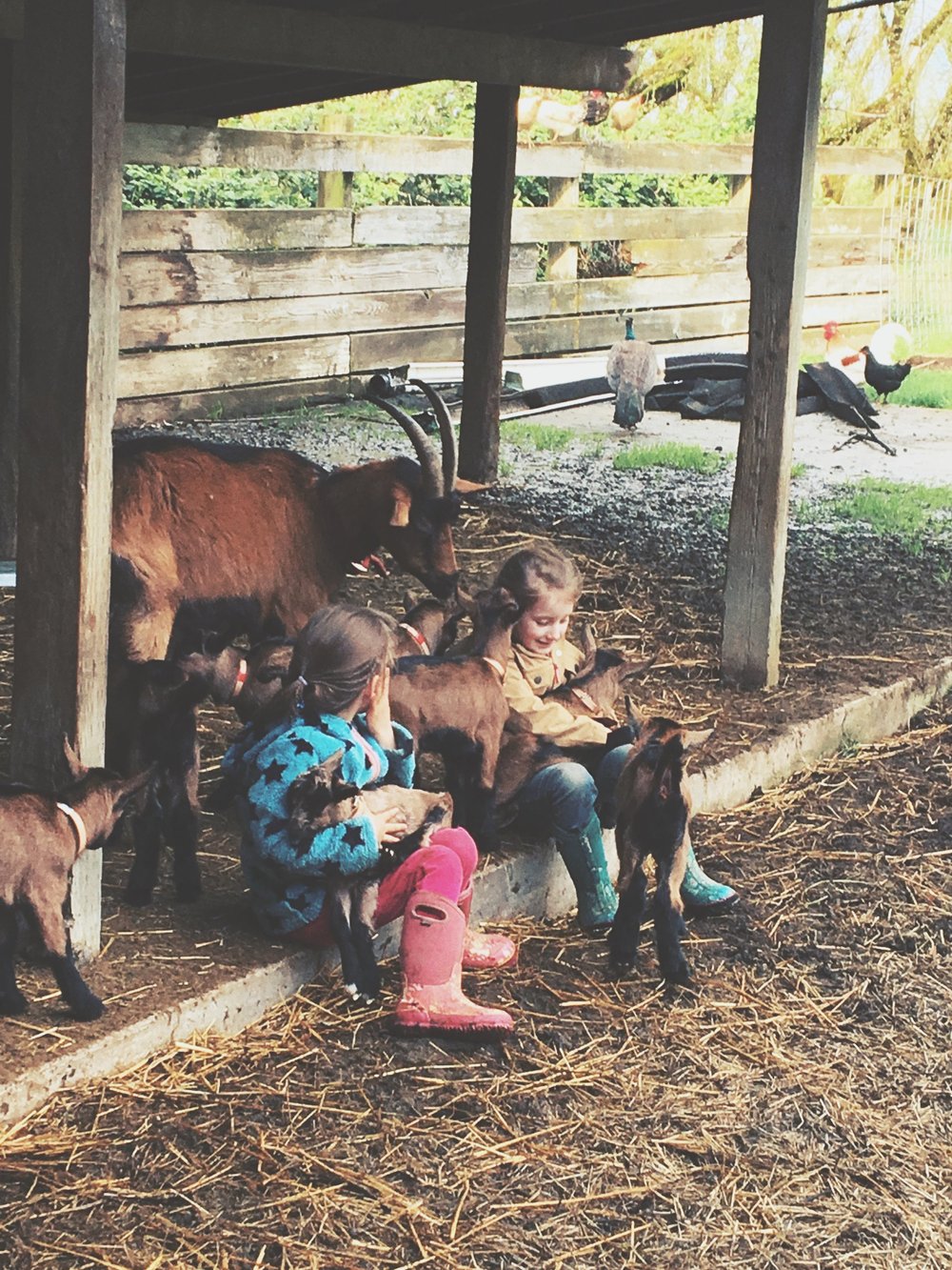 Two Rivers Farm School – Aurora, Oregon
