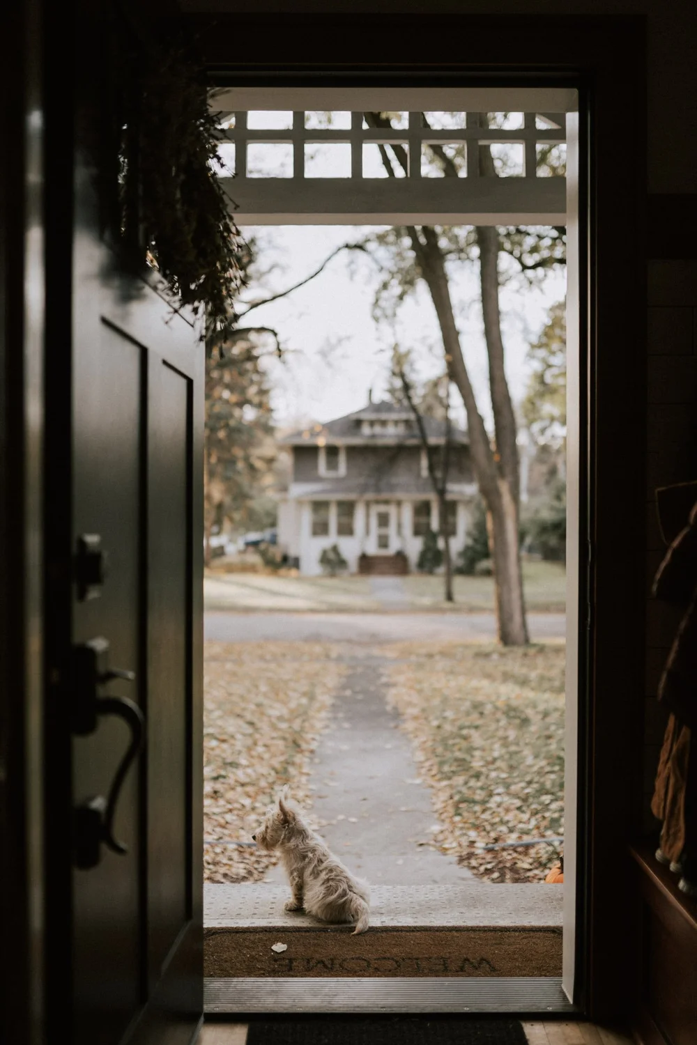 Hawthorne Home by Emily Johnson