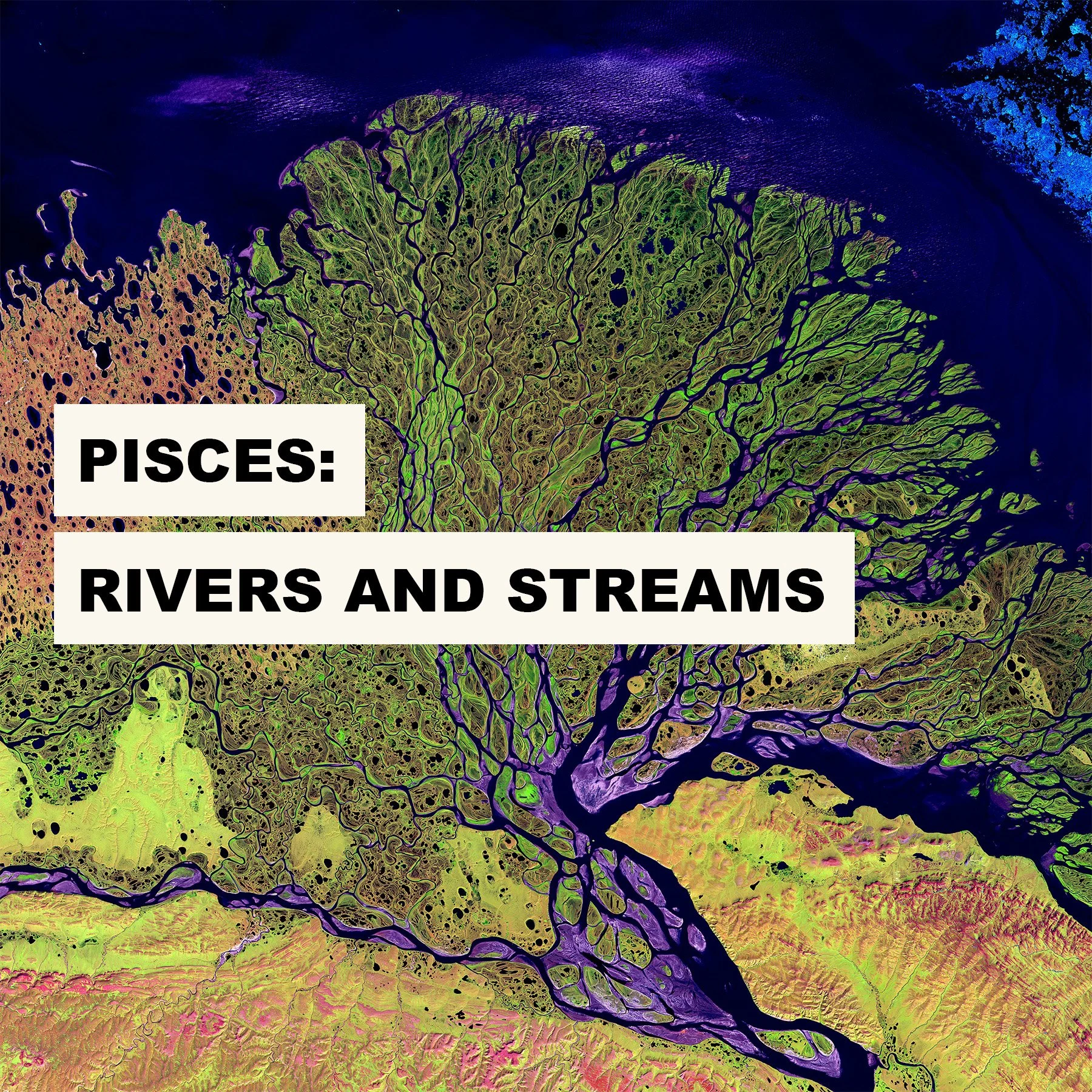 Pisces as RIVERS & STREAMS: A Reflection on the Flowing Waters and ...