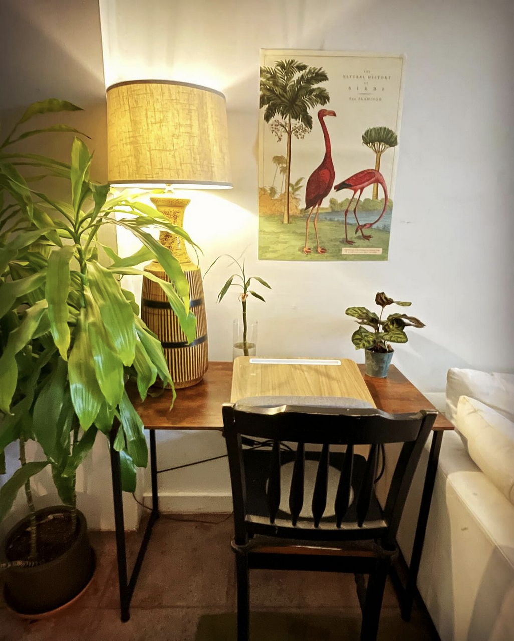The Radical Reading Room