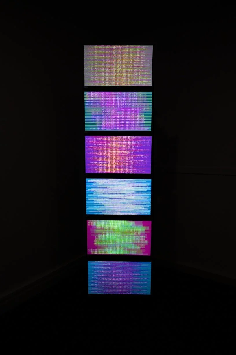 Energy Enhancement System — Omni Wellness